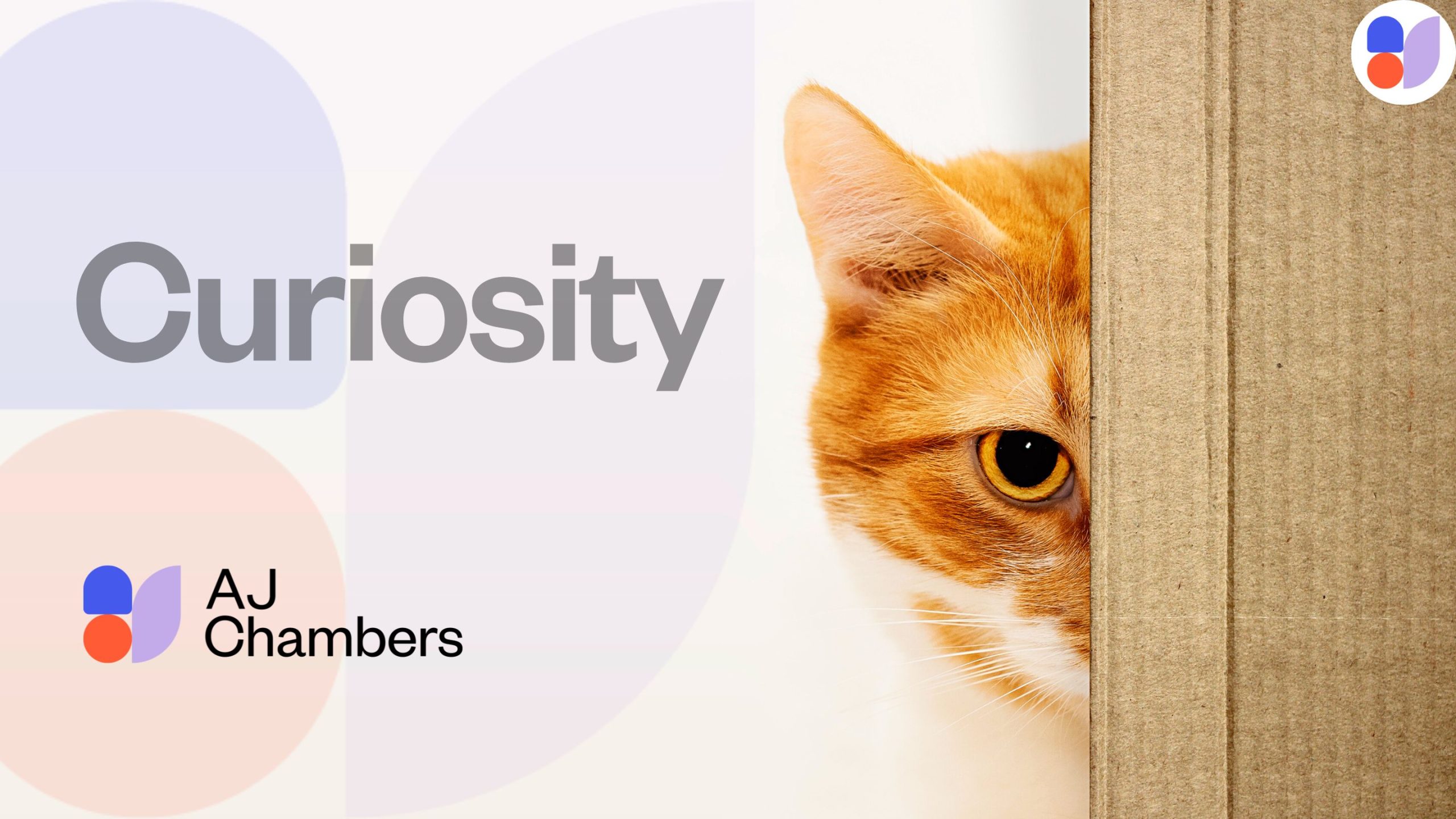 AJ Chambers - Insights